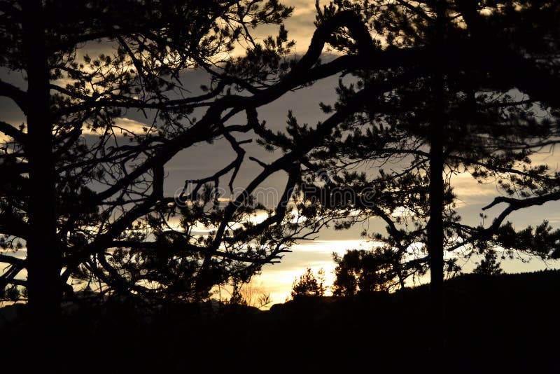 Evening mood stock image. Image of sunset, evening, forest - 52512229