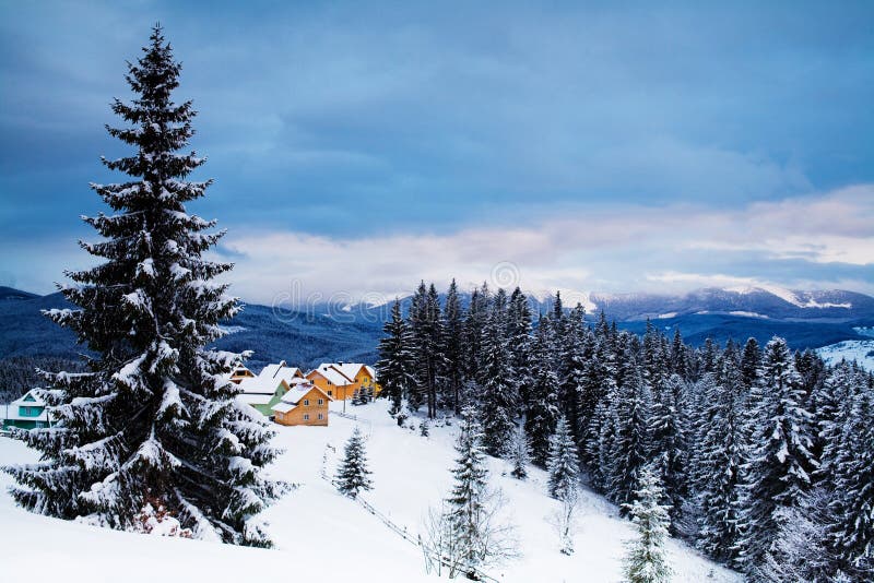 Evening Mountains and Village Stock Photo - Image of nature, spruce ...