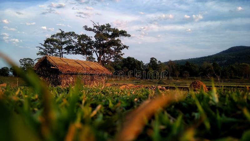 Evening Natural Image of Rural Area. Stock Photo - Image of evening ...