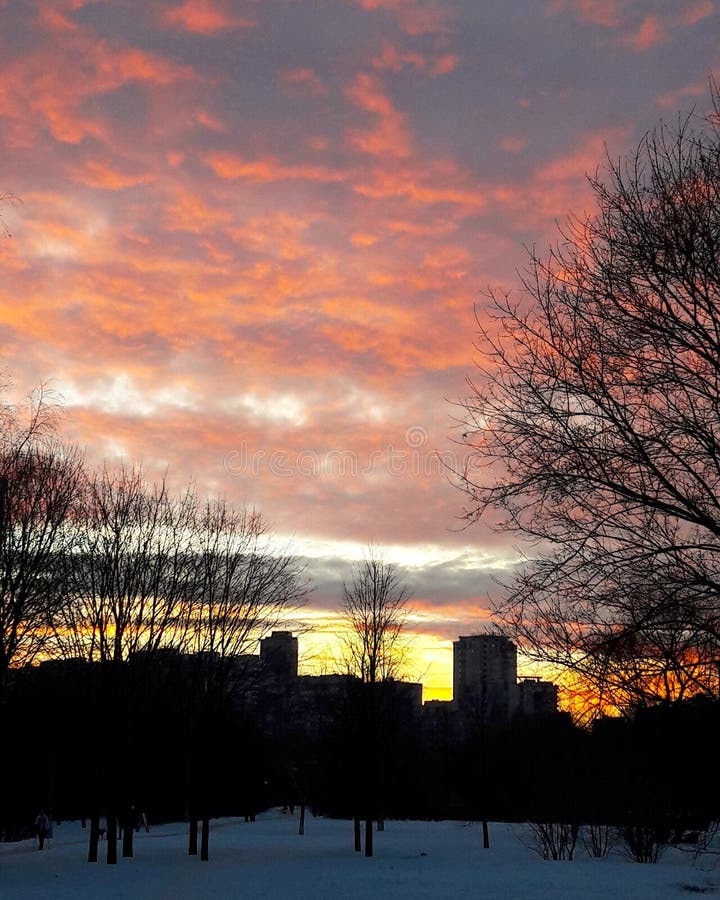 Evening Night Sunset Sky City Forest Park Stock Image - Image of night ...