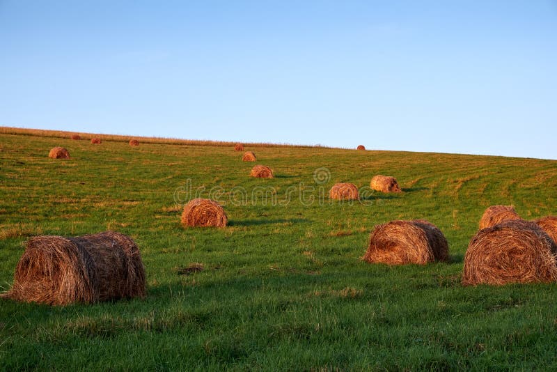 Evening Over Farm Field with Hay Bales Stock Photo - Image of landscape ...