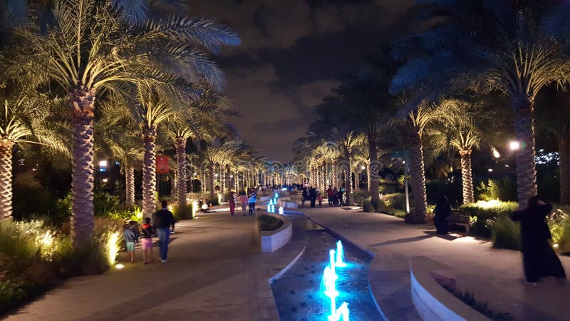 Evening in Palm walkway stock image. Image of walkway - 82269325
