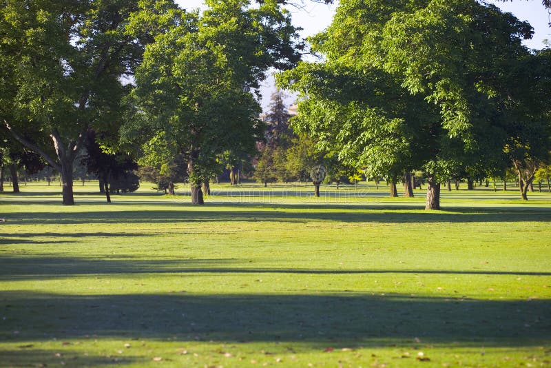 Evening in the park stock photo. Image of park, trees - 176847042