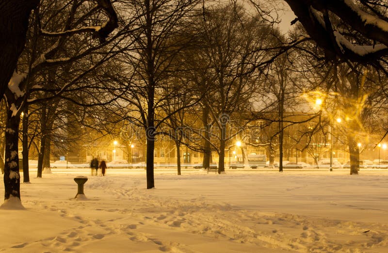 Evening Park Stroll stock image. Image of stroll, evening - 36372301