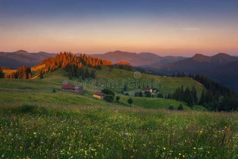 Evening at the Poloniny Stepansky Stock Photo - Image of green ...