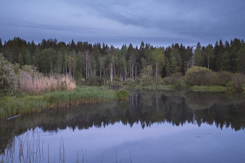 Evening on the Pond in the Park in Autumn Stock Photo - Image of pine ...