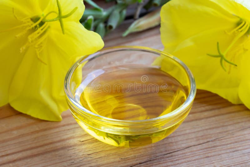 Evening Primrose Oil with Fresh Blooming Evening Primrose Stock Image ...