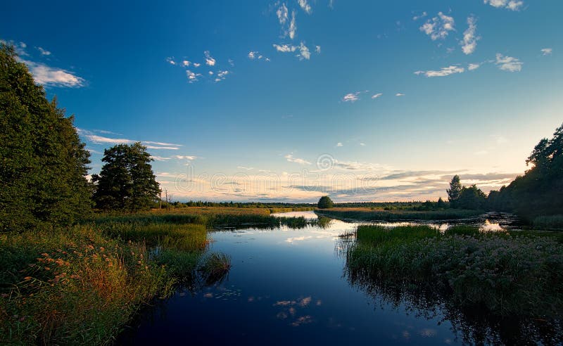 Quiet river in the woods stock photo. Image of tree - 147075286