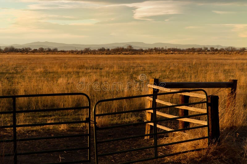 Nevada ranch scene stock photo. Image of america, sage - 8214120
