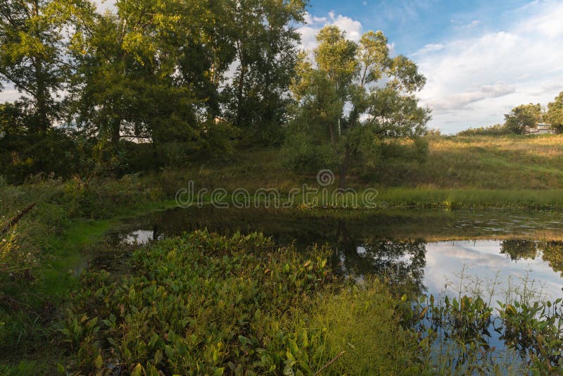 Evening Reflection in a Pond Stock Image - Image of outdoors, dawn ...