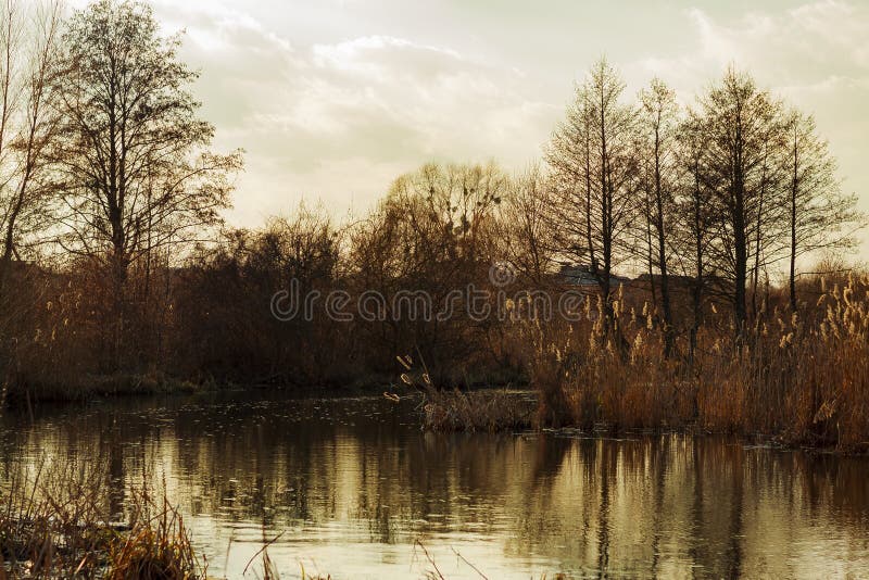 Riverside stock photo. Image of picturesque, shadows - 140787162