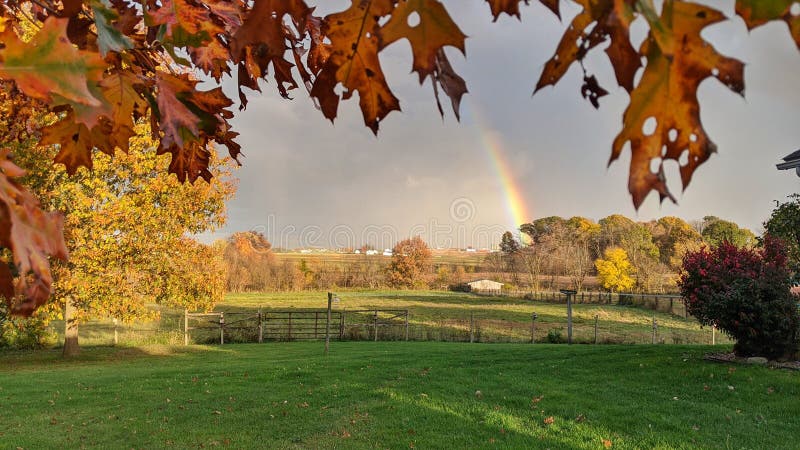 Autumn Tree Line Reflections Stock Image - Image of crisp, pond: 102474377
