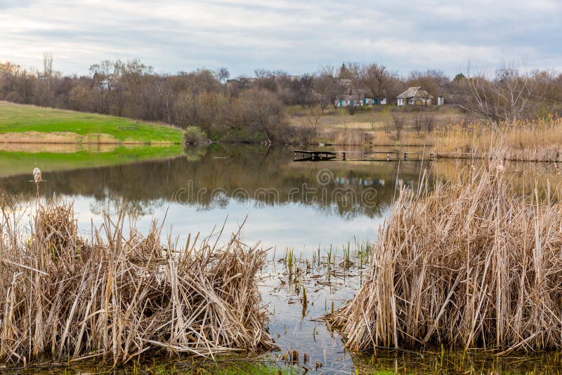 Evening on rural pond stock image. Image of horizon - 217027335