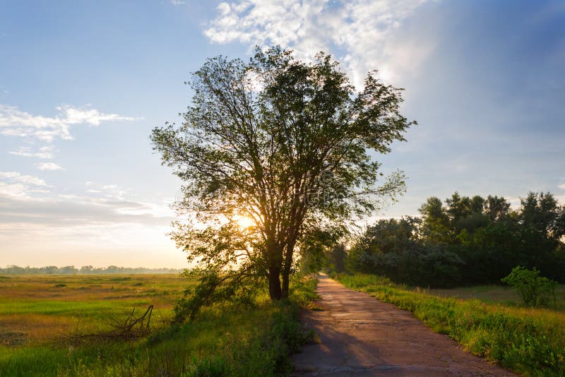 Evening rural scene stock image. Image of barrel, prairies - 55866305