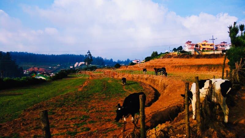 Evening scene stock photo. Image of scenes, abstract - 153476524