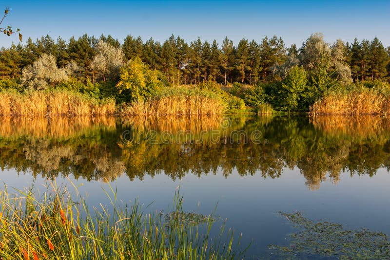 Evening scene on river stock photo. Image of river, dawn - 44892012