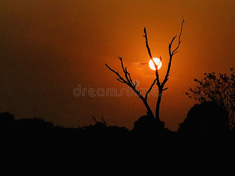 An Evening Seen Which Shows the Beauty of Sun Stock Image - Image of ...
