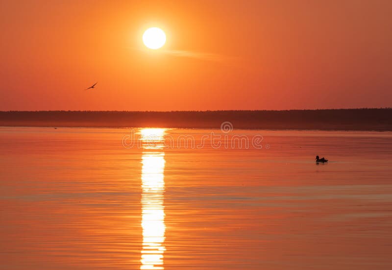 Evening Setting Sun on Orange Sky and Lake Stock Photo - Image of ...