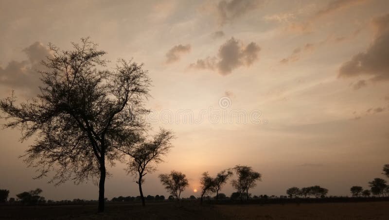 Evening Shot of Tree Sky Nd Clouds Stock Image - Image of shot, beauty ...