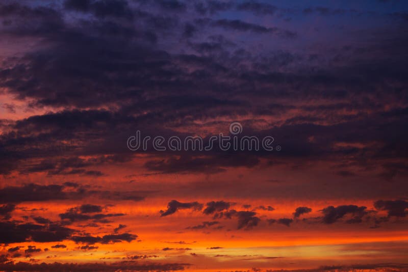 Evening Sky. Bright Pink Sky with Clouds Stock Image - Image of clouds ...