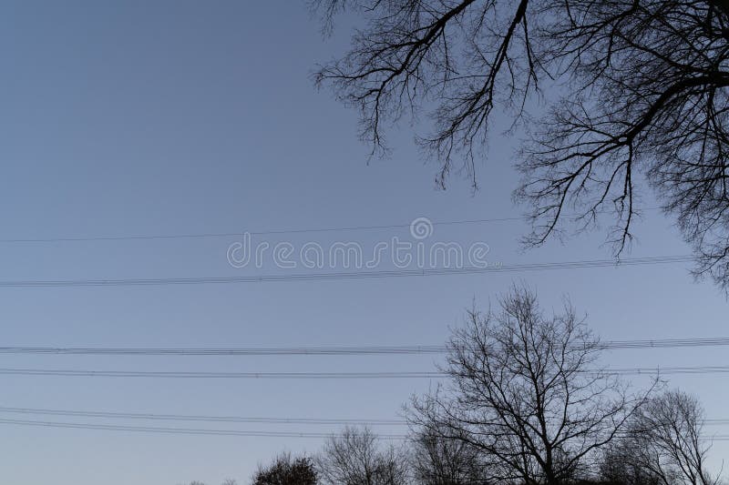 Evening Sky in the Countryside with Branches and Power Lines Stock ...