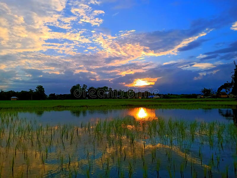 Evening sky image in Assam stock photo. Image of grass - 193210780
