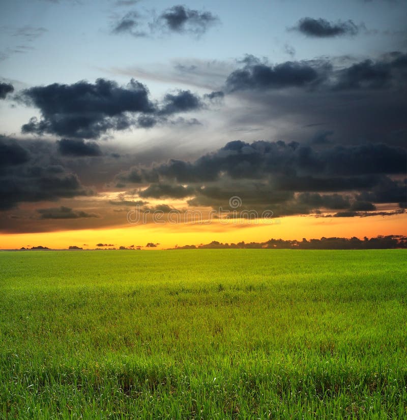 Evening sky and meadow stock image. Image of farm, outdoor - 46555921