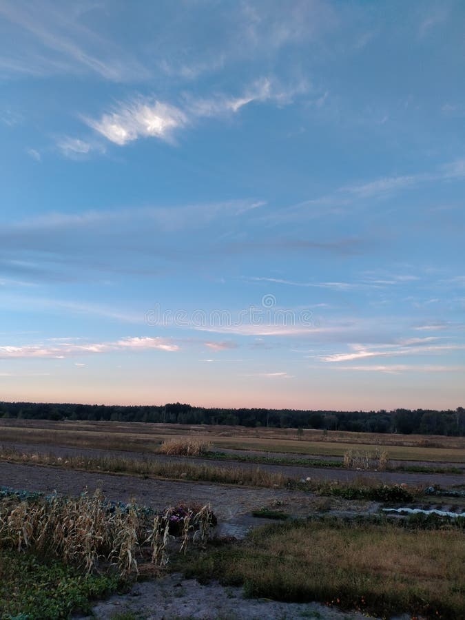 Evening sky over the field stock image. Image of prairie - 256522733