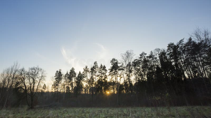 Evening sky over forest stock photo. Image of idyllic - 107742126