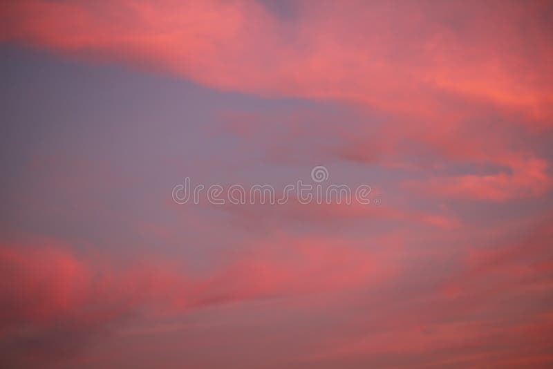 Evening Sky with Pink Clouds Illuminated by the Sun Stock Image - Image ...