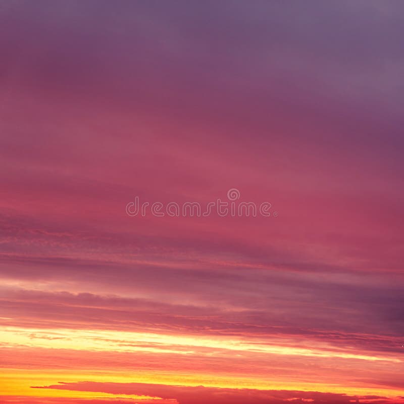 Evening Sky with Pink Clouds at Sunset, Cloudy Landscape Stock Photo ...