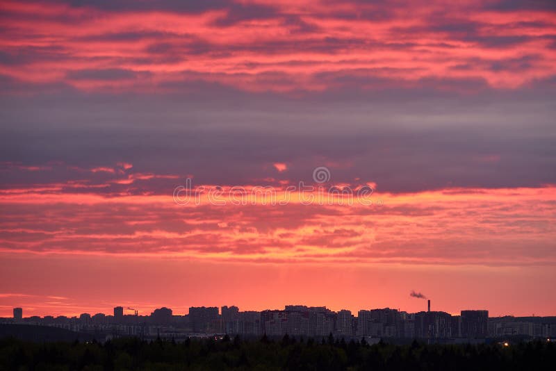Evening Sky with Pink Clouds at Sunset, Cloudy Landscape Stock Photo ...