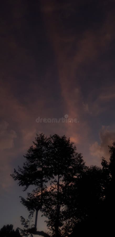 Evening Sky with Small Crescent Moon and Tree Silhouettes Stock Photo ...