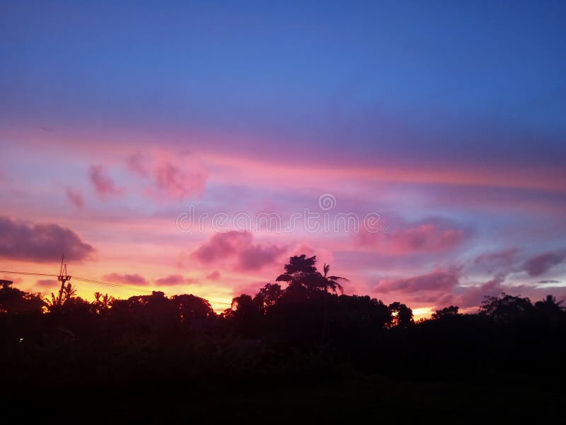 Evening Sky with Sunset Covered by Trees Stock Image - Image of evening ...