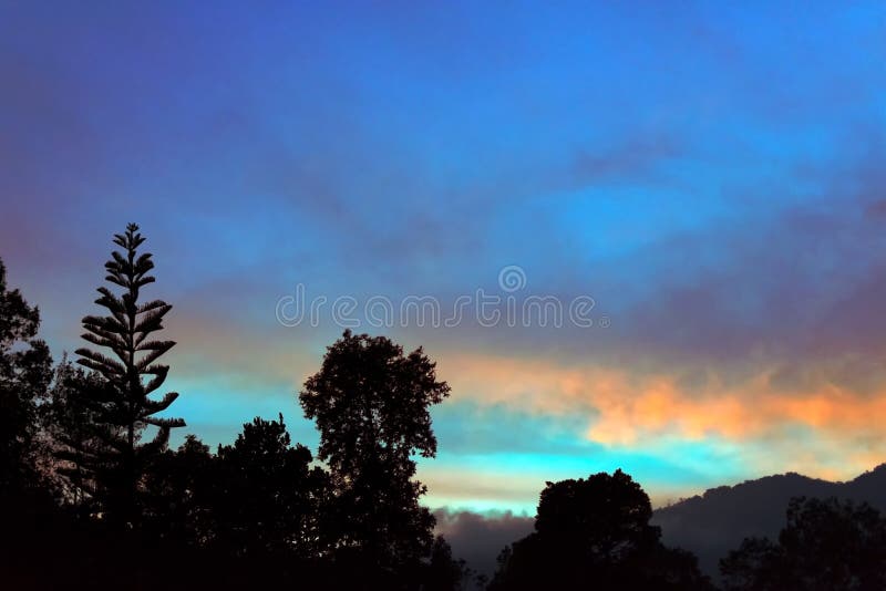 Evening sky with tree line stock photo. Image of evening - 107982542