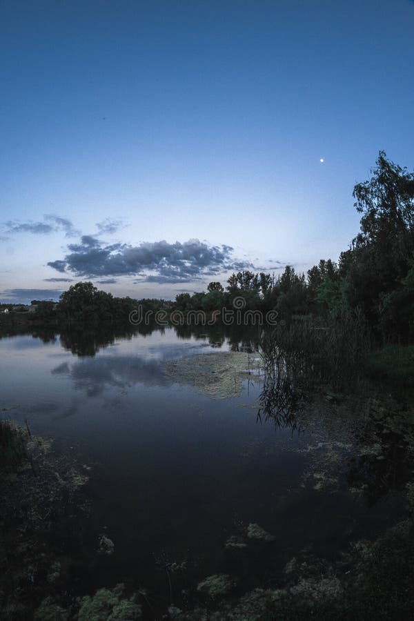 Evening Summer Landscape on the Pond Stock Photo - Image of decline ...