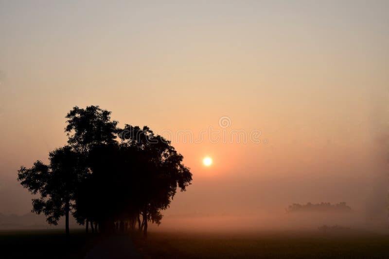 Evening Sun and Beautiful Nature Stock Photo - Image of planet, nature ...
