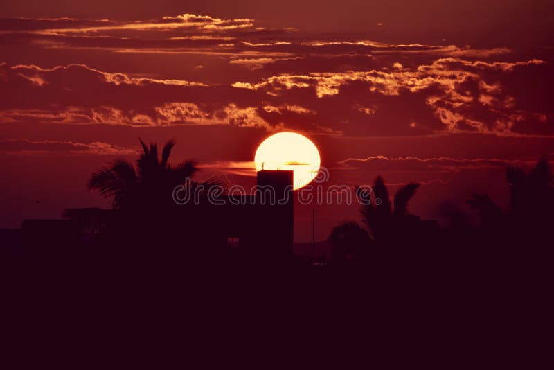 The Evening SunÂ cast Long Shadows on the Ground.Â Stock Photo - Image ...