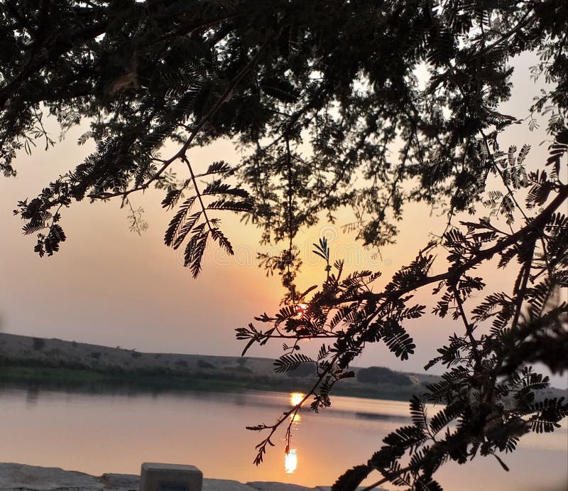 The Evening Sun Dropping into Water Beyond the Forest Stock Image ...