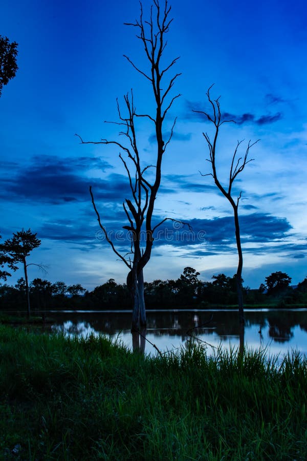 The Evening Sun Light Reflection in Pond Stock Image - Image of light ...
