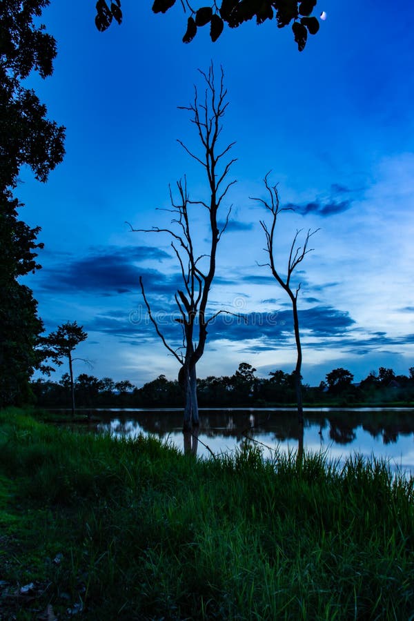 The Evening Sun Light Reflection in Pond Stock Photo - Image of calm ...
