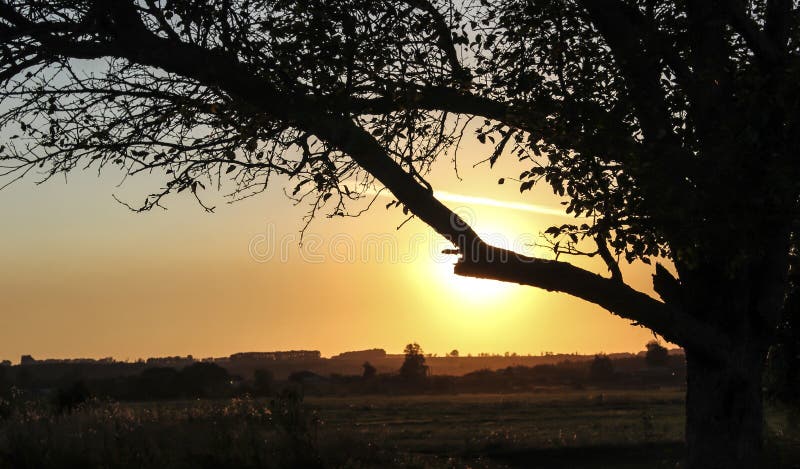In the evening stock image. Image of summer, landscape - 80043775