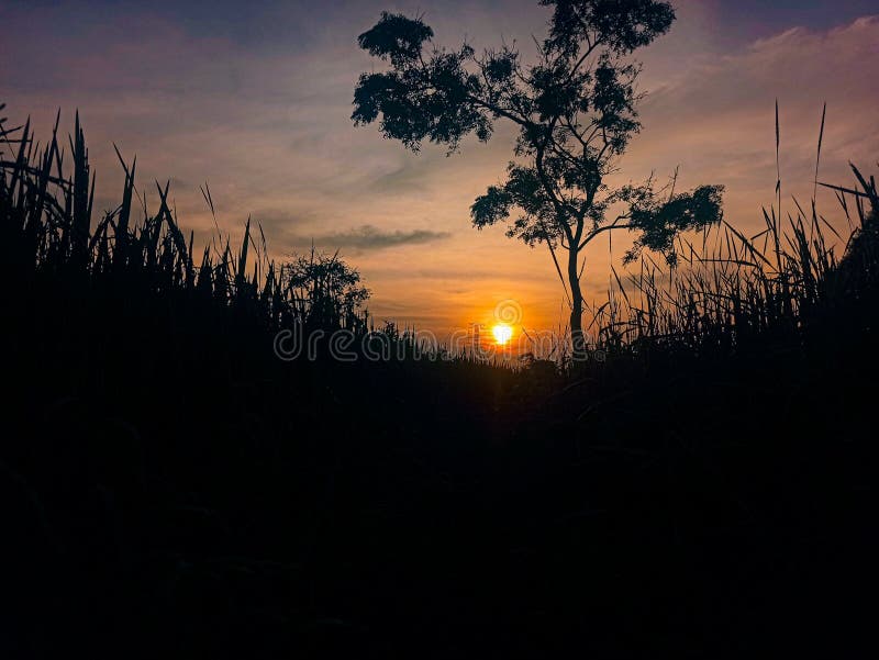 Evening Sun Rises Down Mobile Click Stock Image - Image of risedown ...