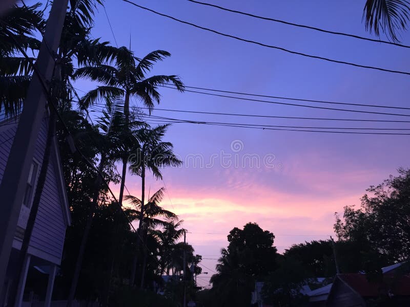 Evening sun set stock photo. Image of evening, sunset - 130589664