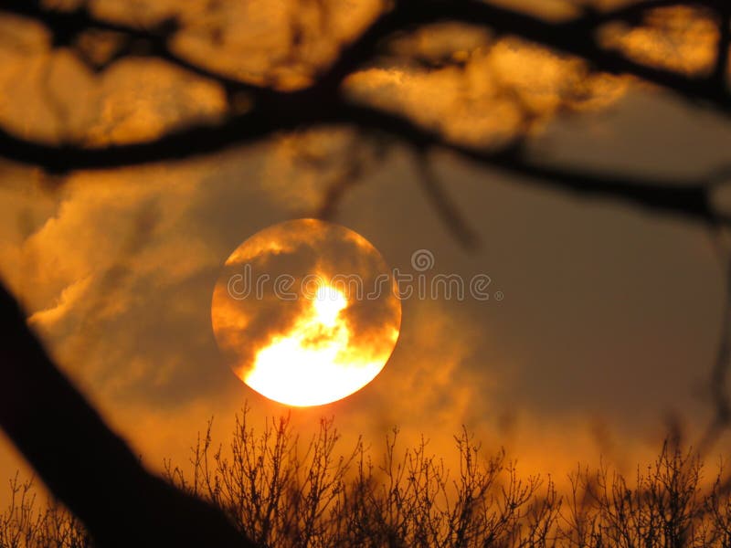 The Evening Sun Setting through Clouds and Branches Stock Photo - Image ...