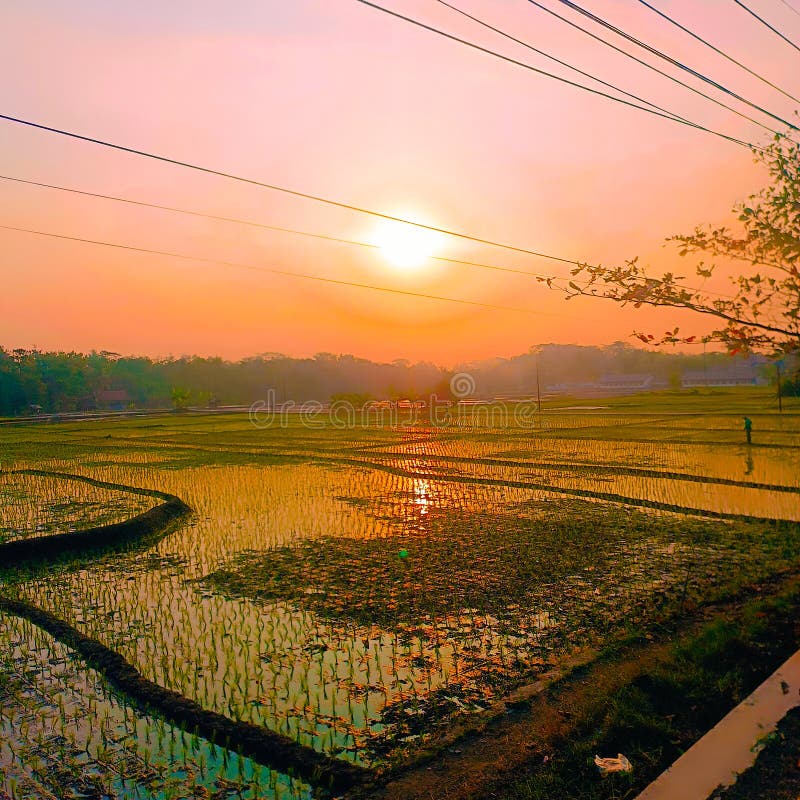The Evening Sun is Very Pretty Stock Photo - Image of pretty, natural ...