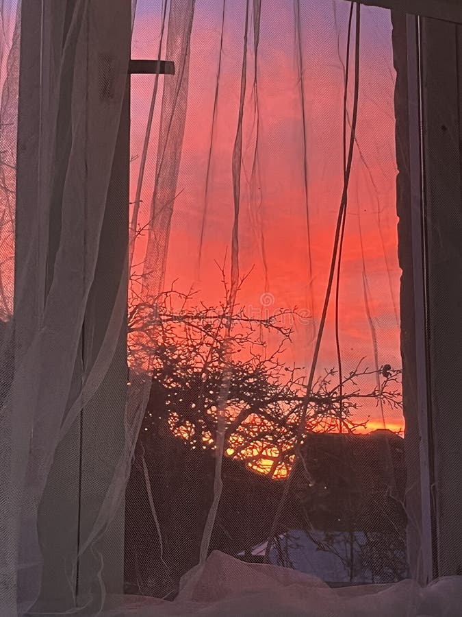 Evening Sunset through a Curtained Window. Background W? Stock Photo ...