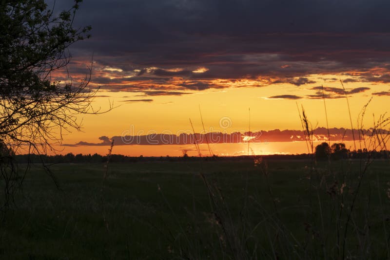 Evening Sunset Over the Field Stock Image - Image of blue, environment ...