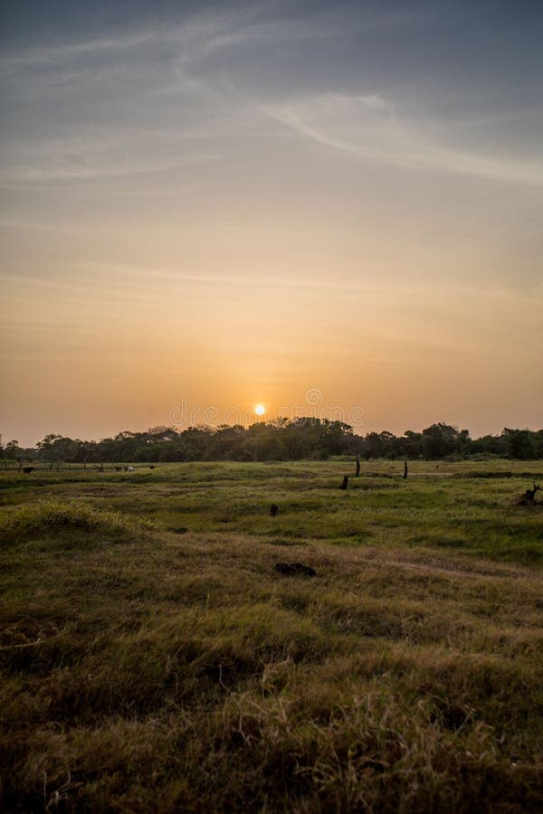 Evening sunset in plain stock photo. Image of clouds - 124320312