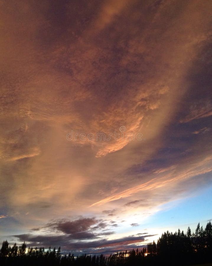 Evening sunshine stock photo. Image of blackhaired, arts - 95389602